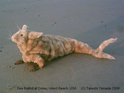 Rising World: Sea Rabbit
