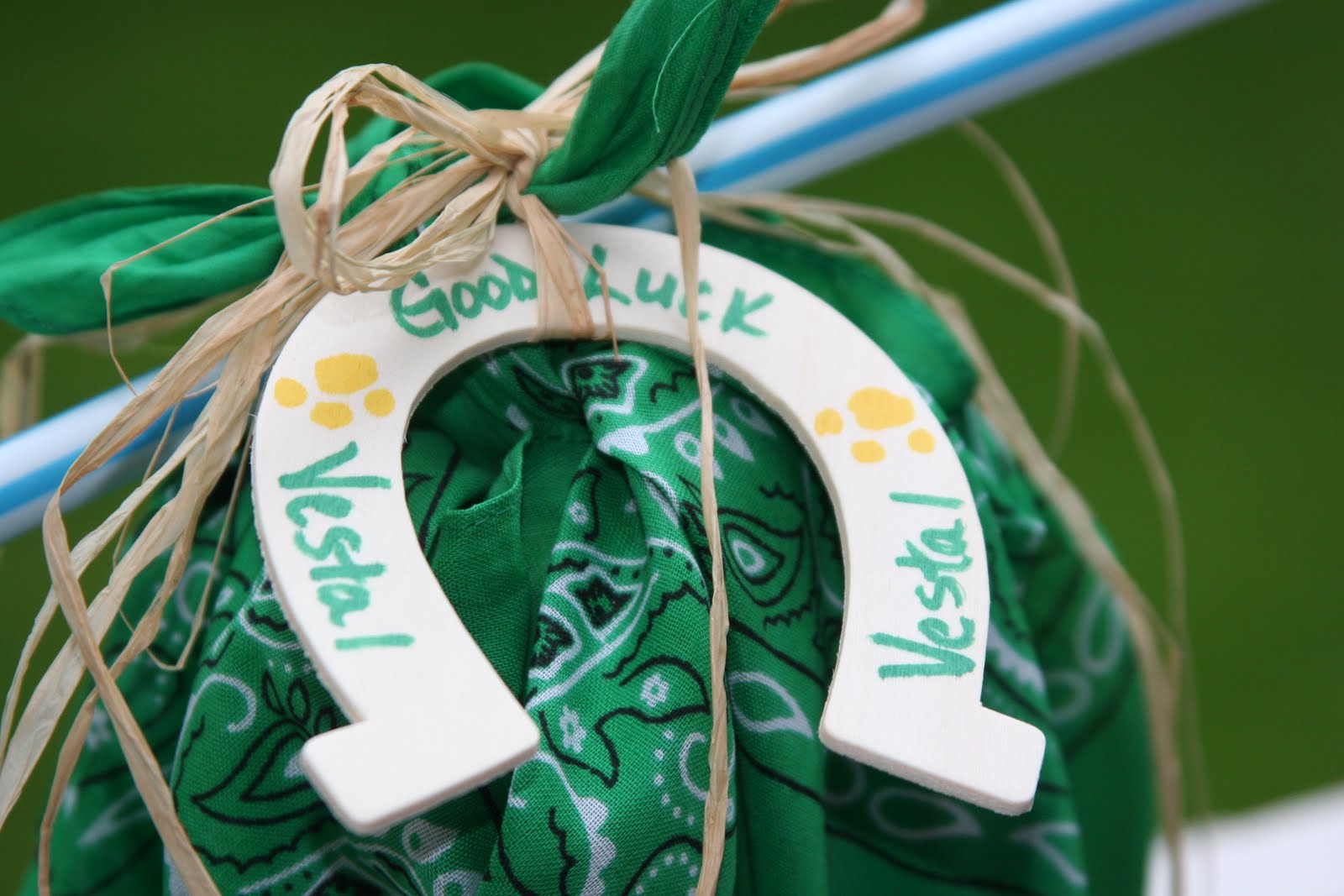 Punkie Pie's Place ...: Hoedown Throwdown Party