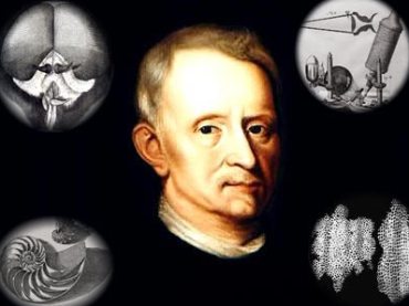 TUDO SOBRE FÍSICA : Robert Hooke