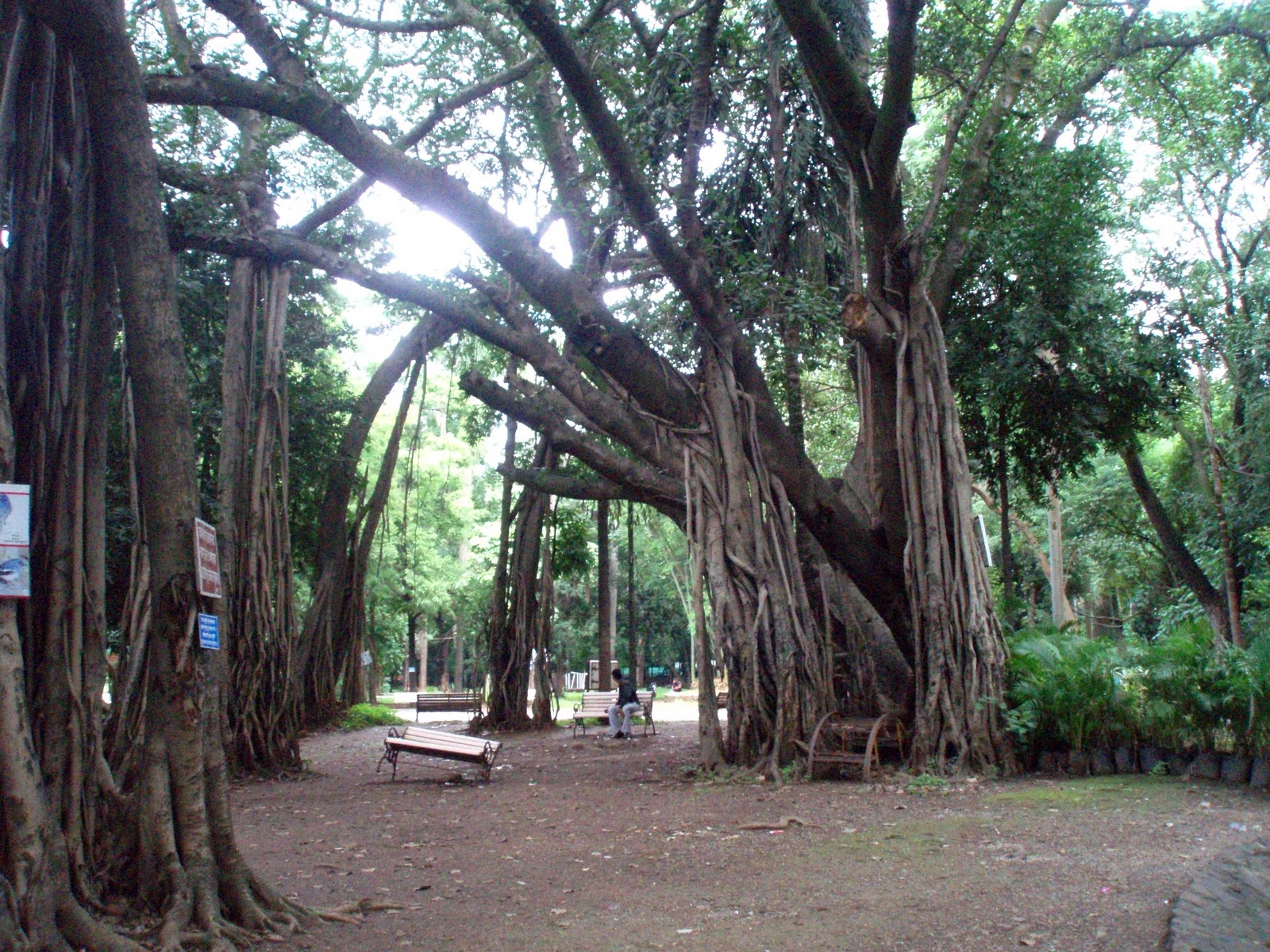 Travelogue Unlimited: Empress Gardens, Pune : A Photo Feature