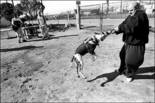 La Mode a Glasgow: Photo Loco - the work of Robert Yager