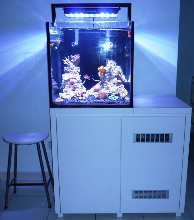 Marine Tank Maintenance Services: Marine tanks