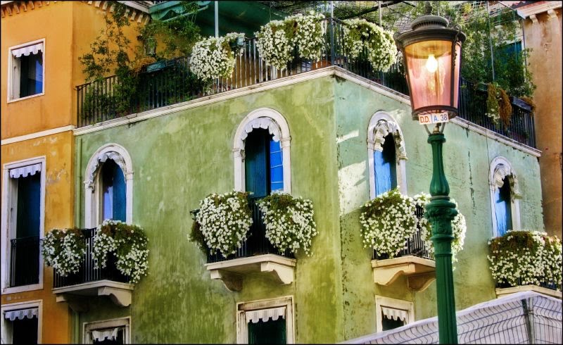 Venezia: Peter Brotherton