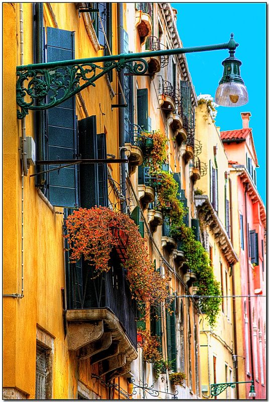 Venezia: Peter Brotherton