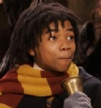 Harry Potter PARALLEL UNIVERSE: Harry Potter Cast of Characters Book 1