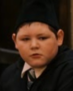 Harry Potter PARALLEL UNIVERSE: Harry Potter Cast of Characters Book 1