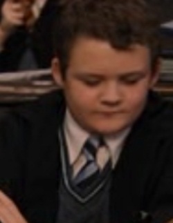 Harry Potter PARALLEL UNIVERSE: Harry Potter Cast of Characters Book 1