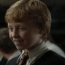 Harry Potter PARALLEL UNIVERSE: Harry Potter Cast of Characters Book 4