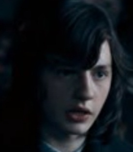 Harry Potter PARALLEL UNIVERSE: Harry Potter Cast of Characters Book 5