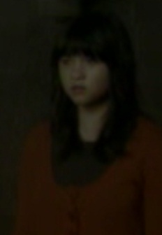 Harry Potter PARALLEL UNIVERSE: Harry Potter Cast of Characters Book 6