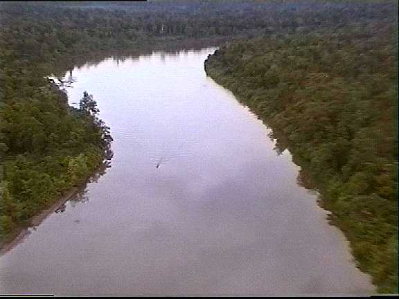 Lintang Buana Tourism Services Blog: Fly River