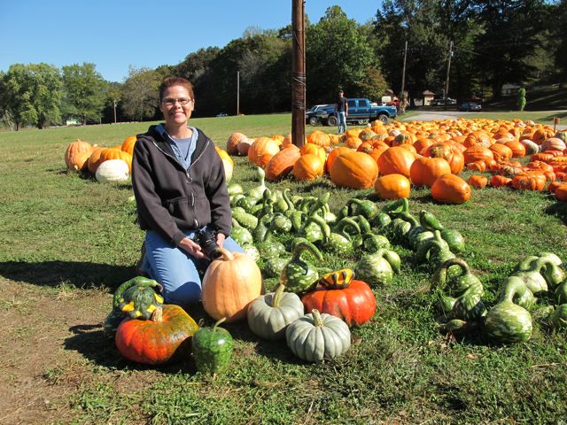 Julie Zickefoose on Blogspot: Caraway Farm!