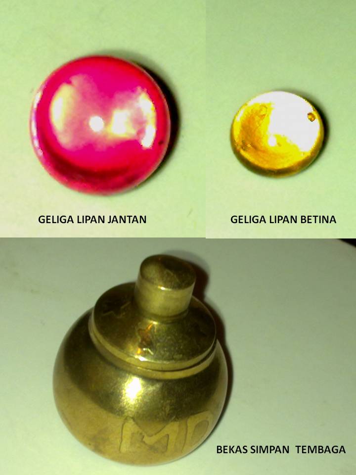 mistik-ajaib.blogspot.com: BATU GELIGA LIPAN JANTAN & BETINA mahar nya ...