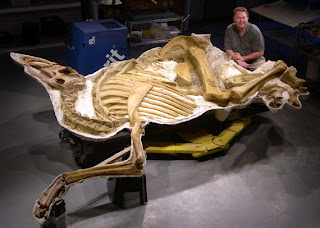 The Coastal Paleontologist: The Tragic Tale Of Nate Murphy, Or How Not ...