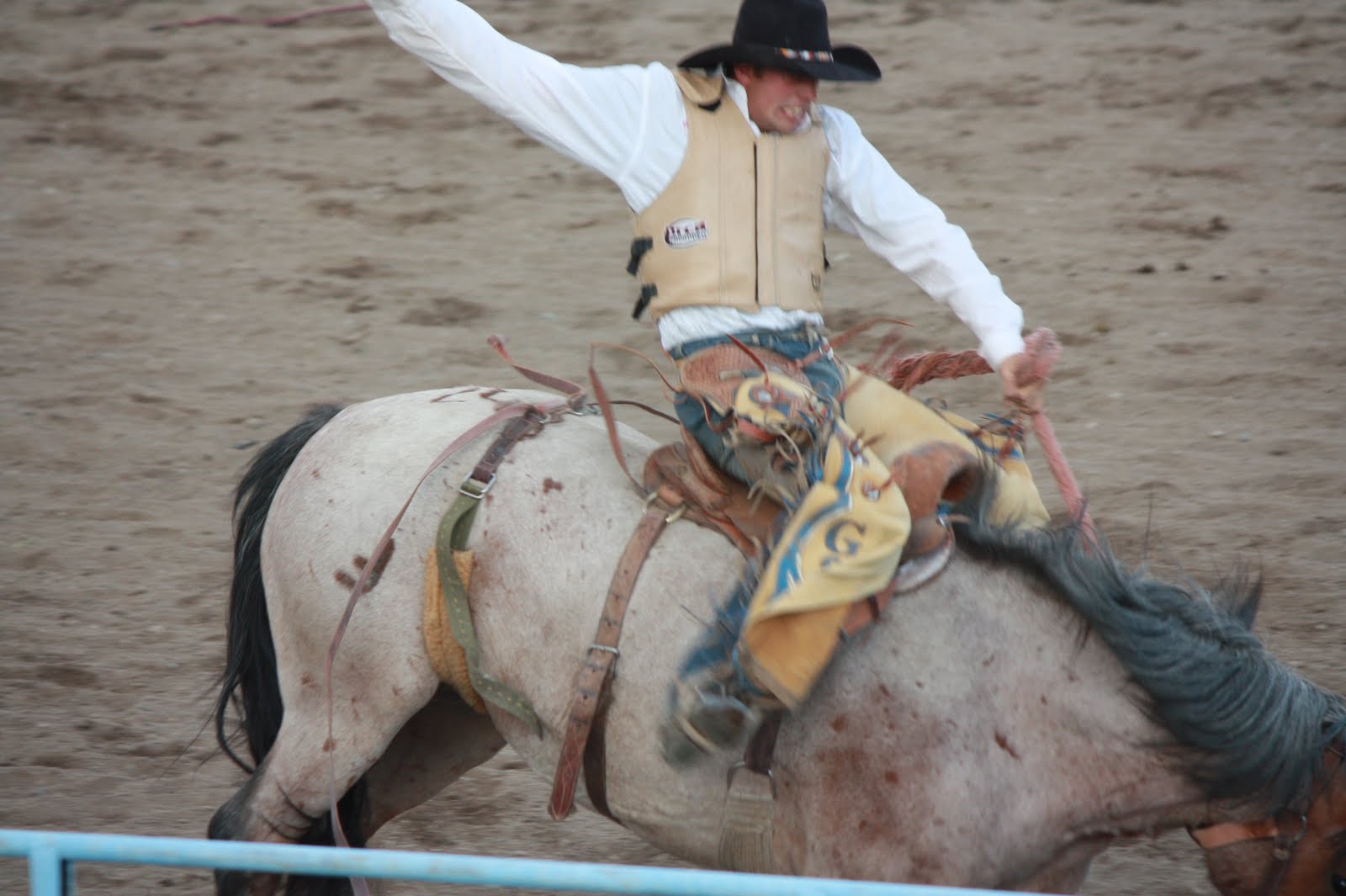 The Sharer Family: Eureka Rodeo