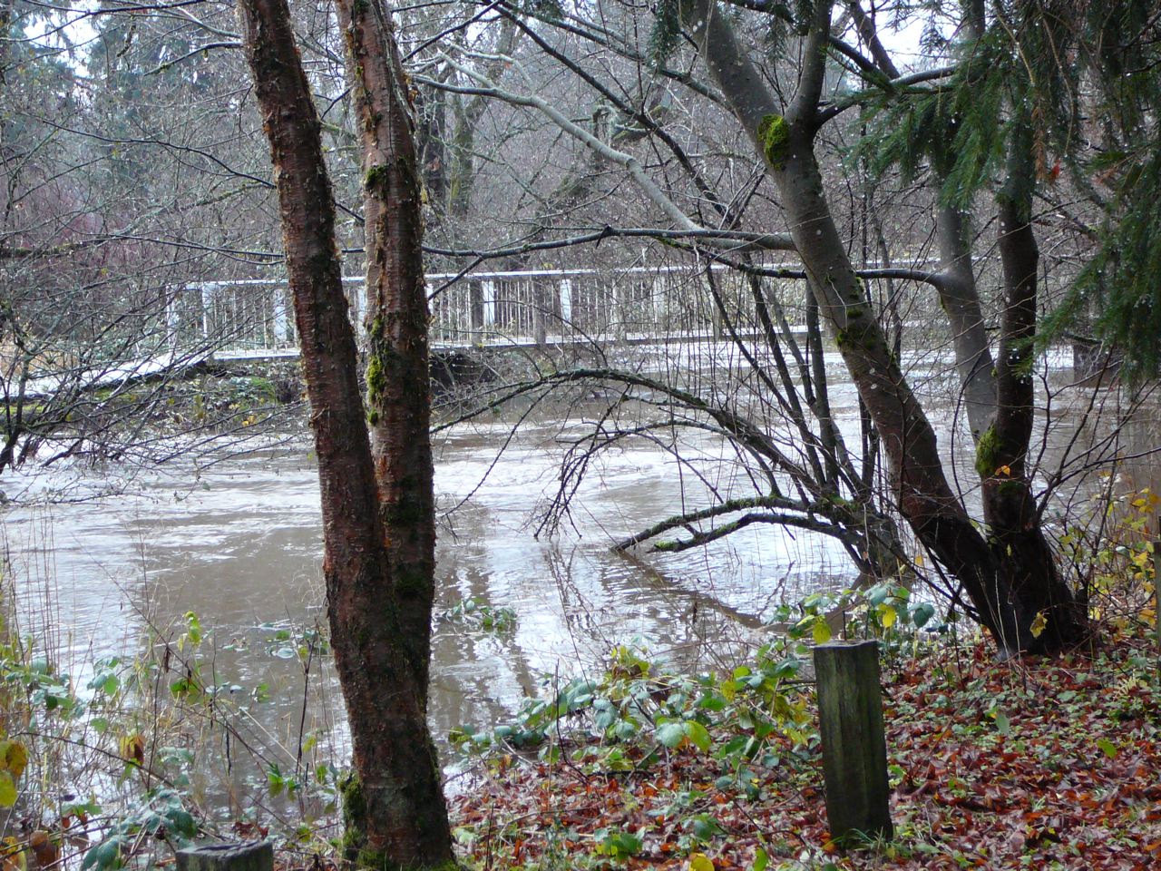 promptings: November 2009