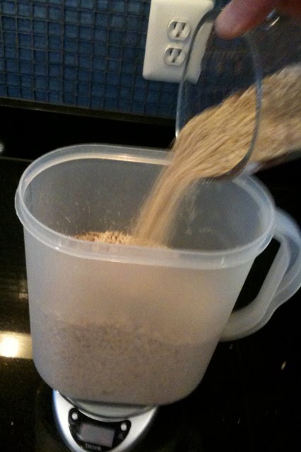 The Brown Book: Home Malting; Making a 12 Pound Batch of Malt in the ...