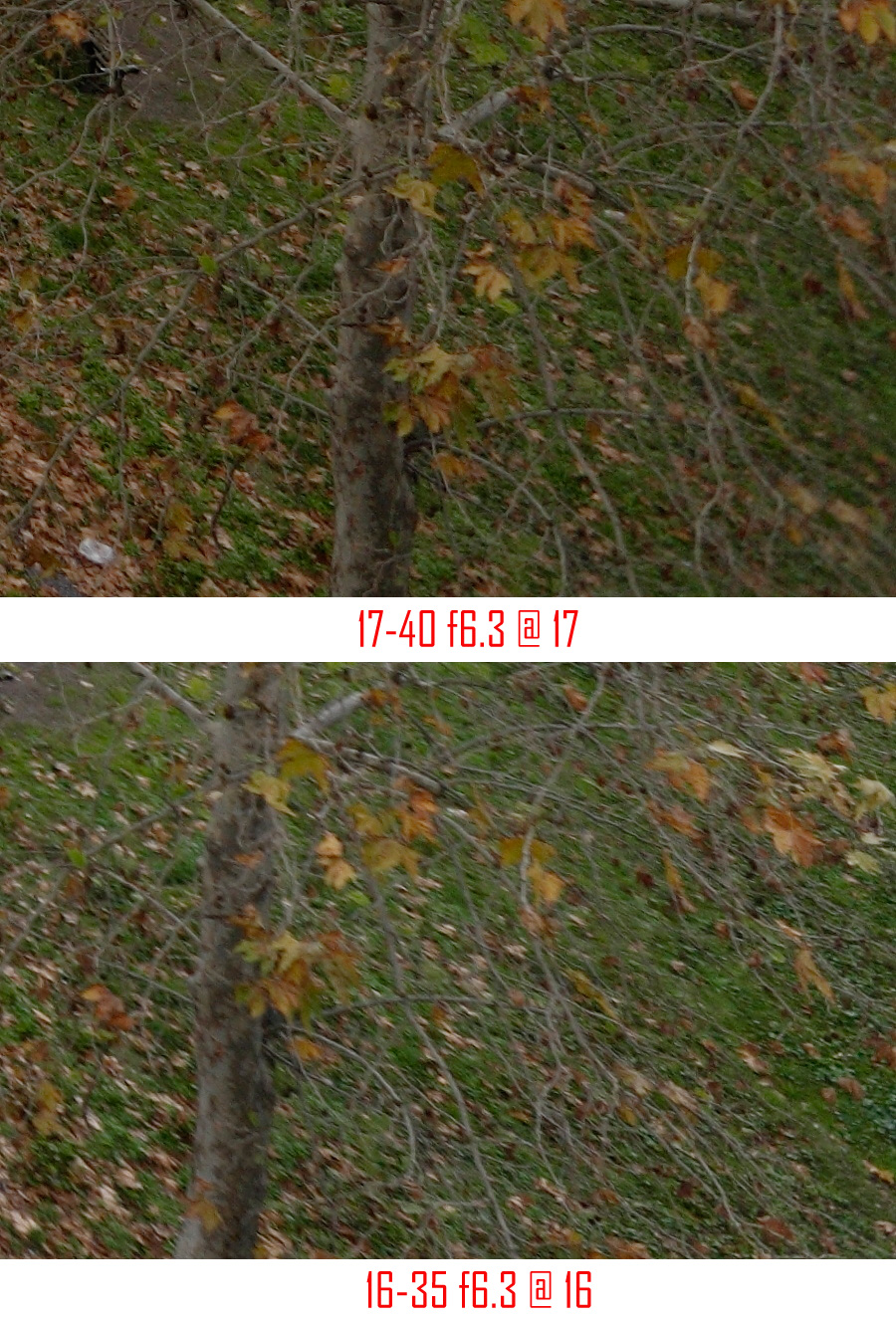 Canon EF 16-35 f2.8 L II vs Canon EF 17-40 f4 L - Zoom supergrandangolari professionali a confronto!