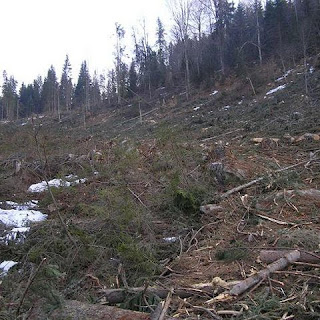 stop defrisarilor: STOP DEFRISAREA