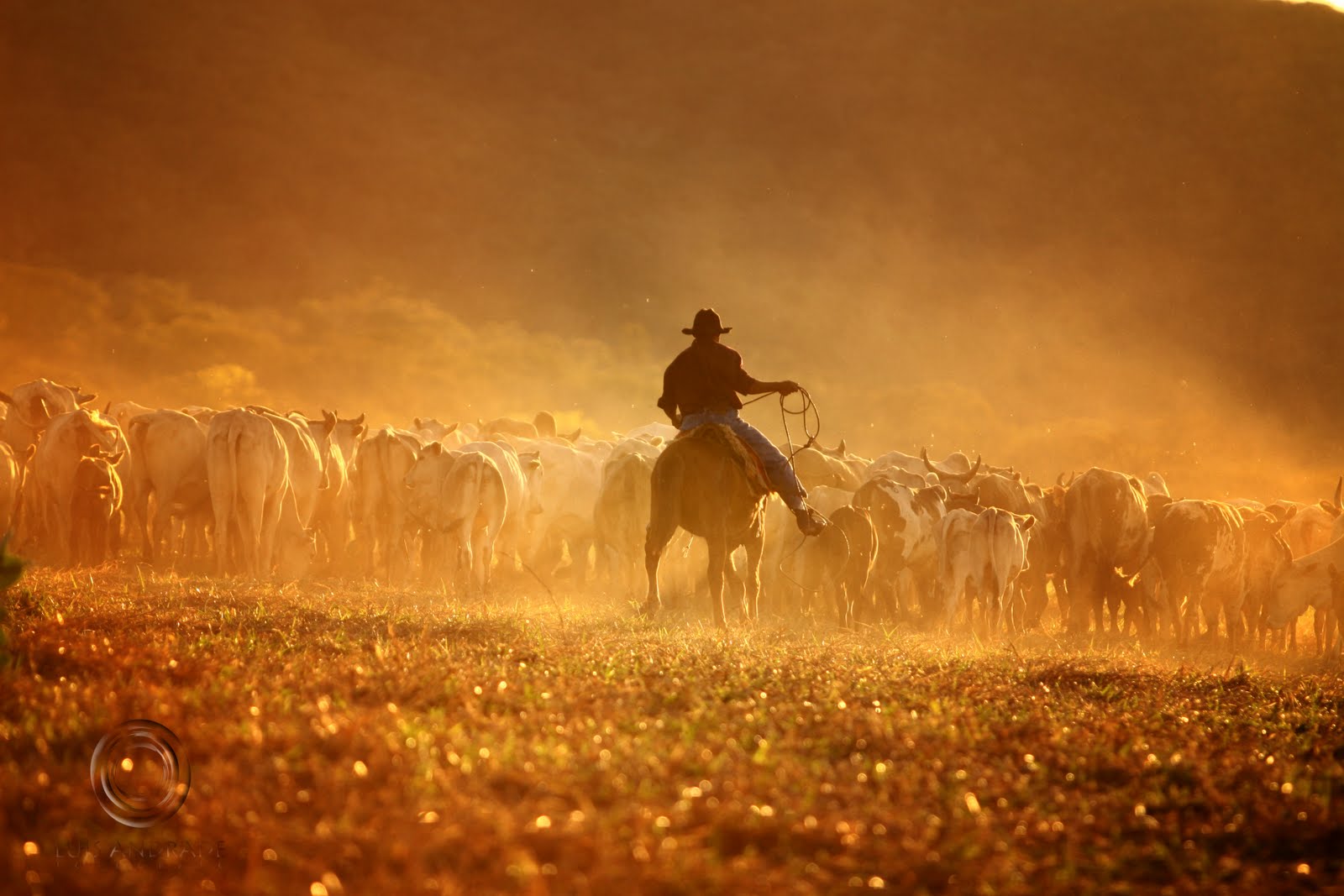 Luis Andrade - Fotógrafo: Gente e Lugares (People and Places)
