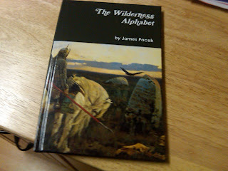 Carjacked Seraphim: July 2010