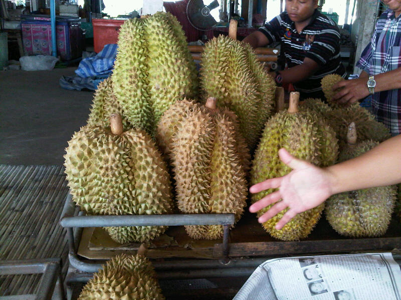 Rayong, Thailand: Thai Durian