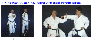 Basic Techniques of Shotokan Karate: UKE WAZA_Blocking Techniques ...