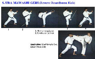 Basic Techniques of Shotokan Karate: GERI-WAZA_Foot and Leg Striking ...