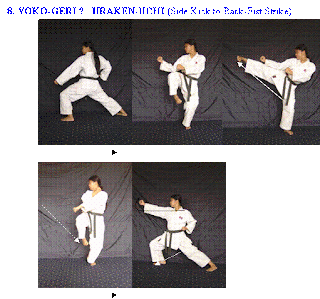 Basic Techniques of Shotokan Karate
