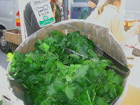 stinging nettles | Summer Tomato