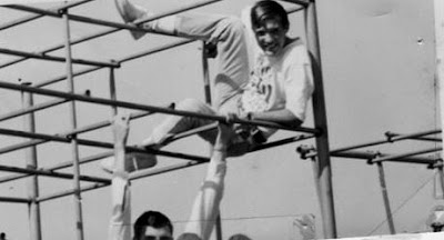 Plano High Wildcats Class of 1966