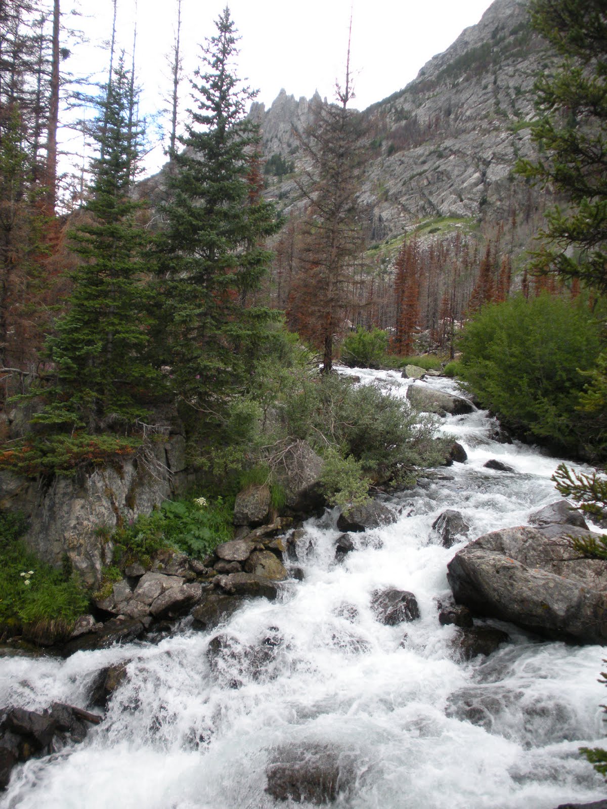 Living and Dyeing Under the Big Sky: Calamity Falls Dayhike, Beartooth ...