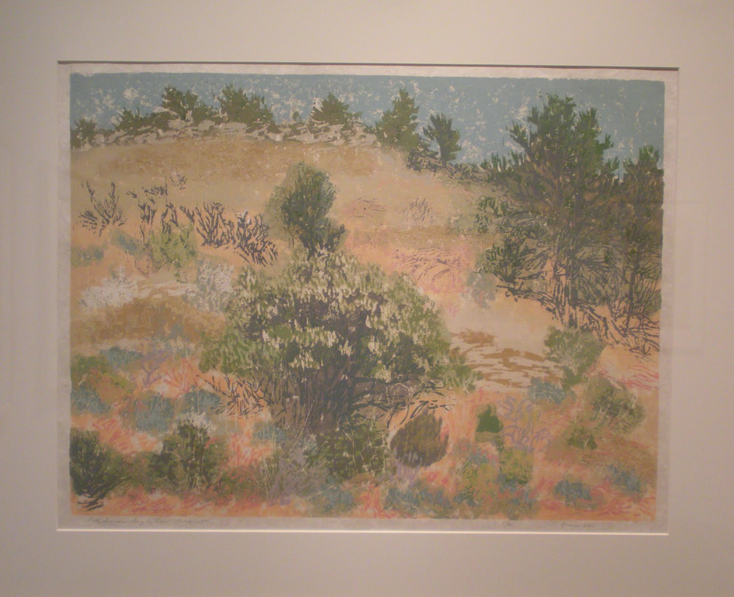 Living and Dyeing Under the Big Sky: Edith Freeman at Yellowstone Art ...