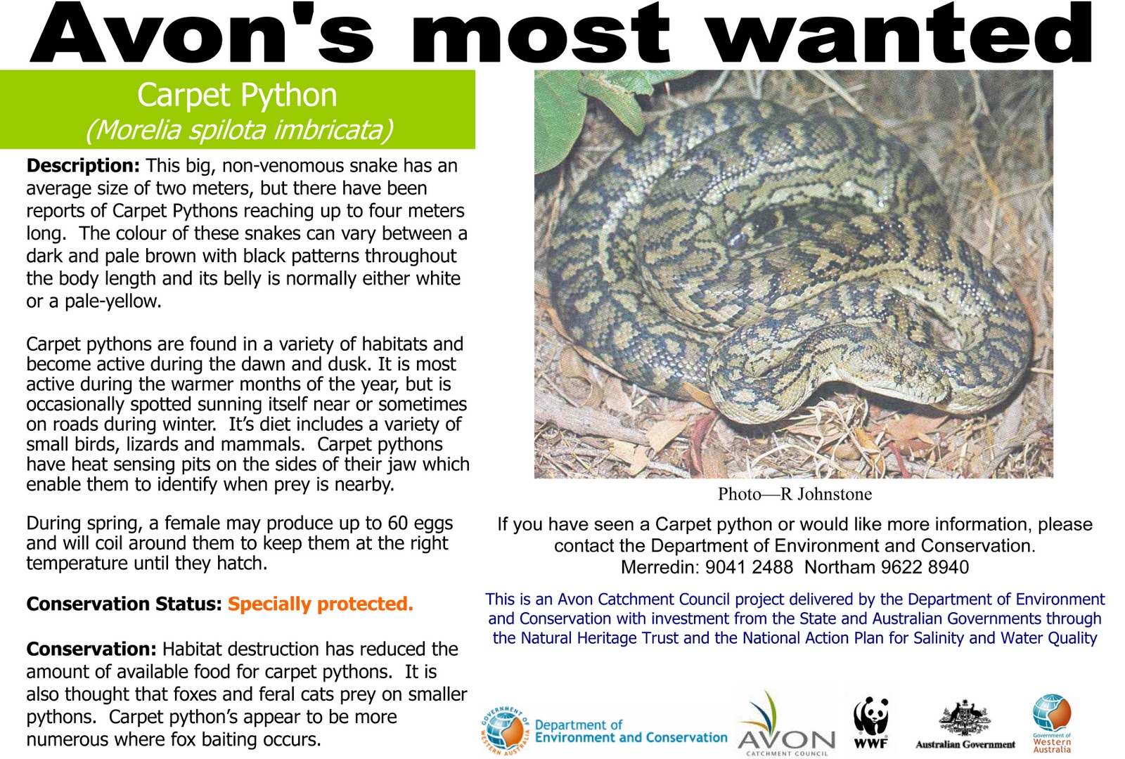Wheatbelt biodiversity: Wheatbelt Biodiversity-Fauna