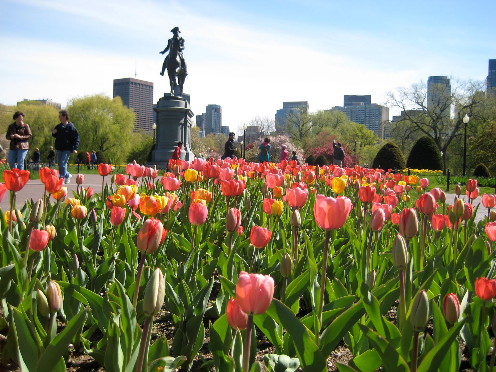 Coconut Crumbs: Slurp. Gulp. Chew? Food Texture and Satiety.
