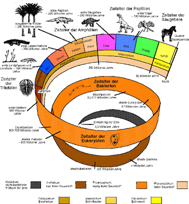 Geschichte: Urgeschichte