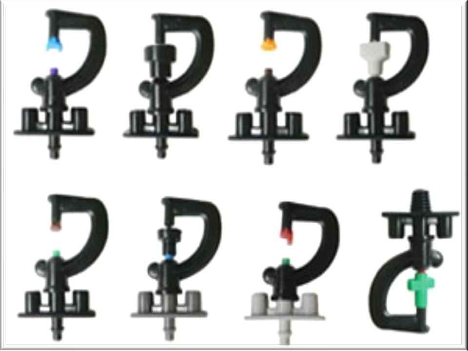 NATURALEZA VERDE DEL LEGOLAS: MICROASPERSORES