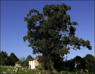 MELUERDA: SAN MARTÍN DE COLLERA Y CAMANGU.