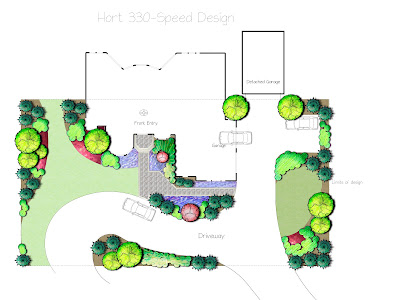 Seth Reed Portfolio: DynaSCAPE and DynaSCAPE Color