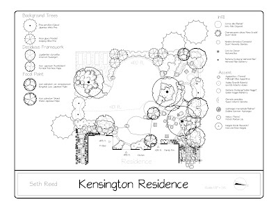 Seth Reed Portfolio: DynaSCAPE and DynaSCAPE Color