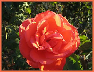 May 2007 - ARUNACHALA GRACE