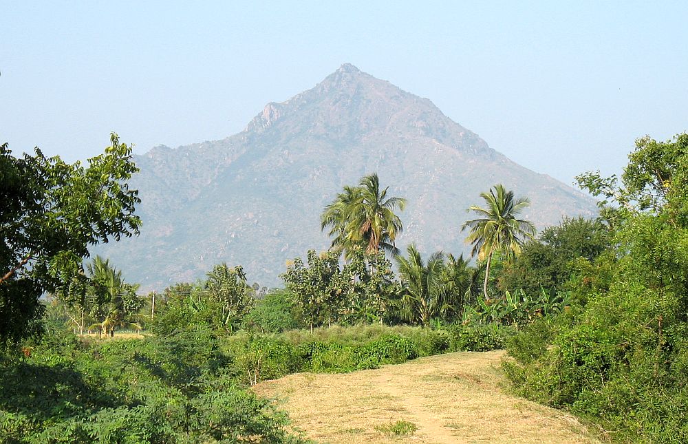 April 2010 - ARUNACHALA GRACE