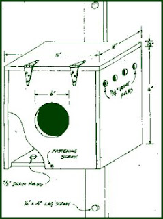 Owl Visitor - ARUNACHALA BIRDS