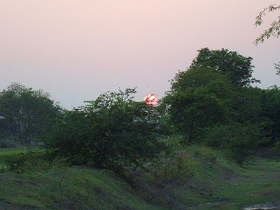 Samudram Evening - ARUNACHALA GRACE