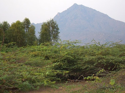 Samudram Evening - ARUNACHALA GRACE