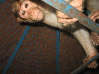 September 2009 - ARUNACHALA GRACE