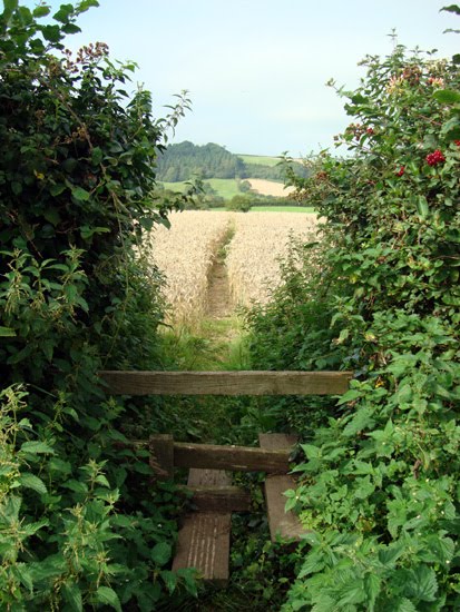 Stiles in Britain Walking - Britain All Over Travel Guide