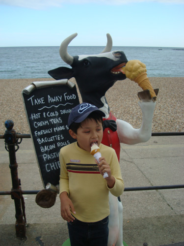 Devon Ice Cream in Summer - Britain All Over Travel Guide