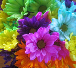 natural: Flowers With Soul – Colorful Nature