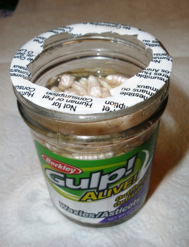 Bow Narrows Camp Blog on Red Lake Ontario: How to prevent Gulp Alive ...